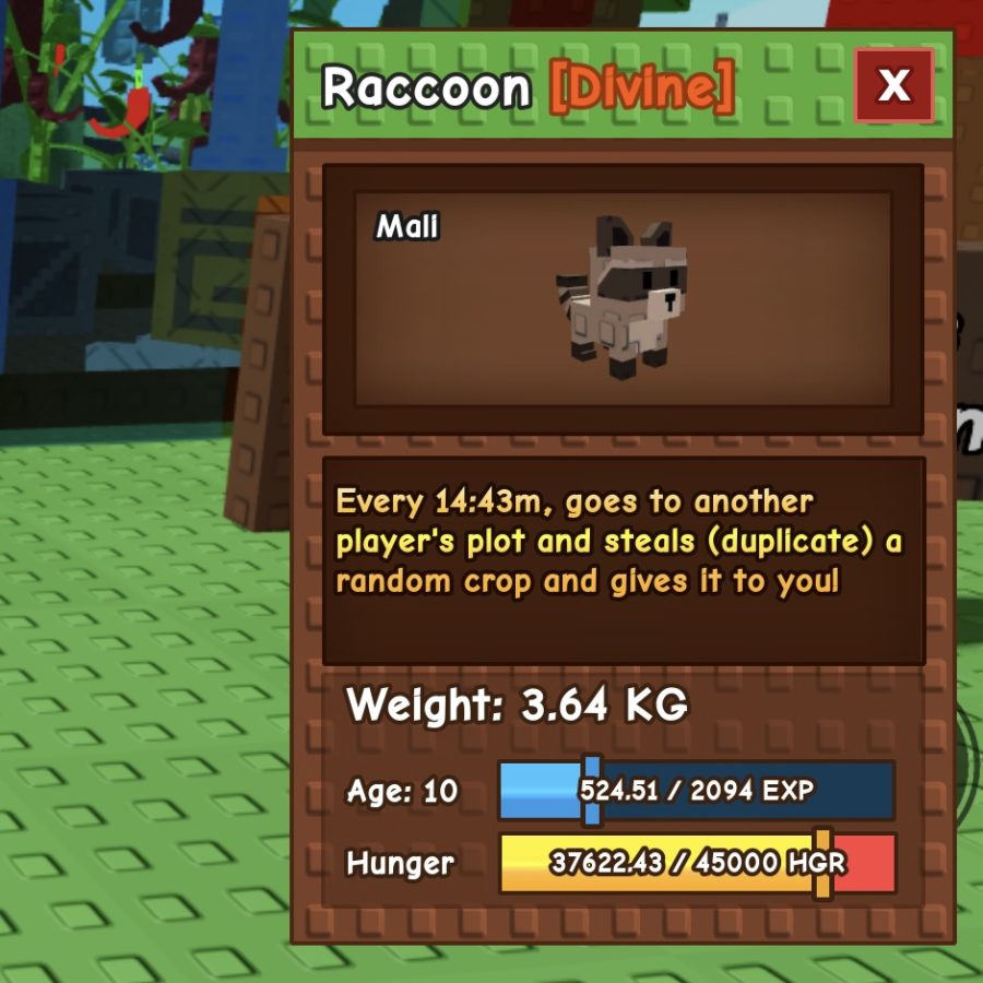 Why Is The Grow A Garden Raccoon Pet So Popular? - Durbin Rock