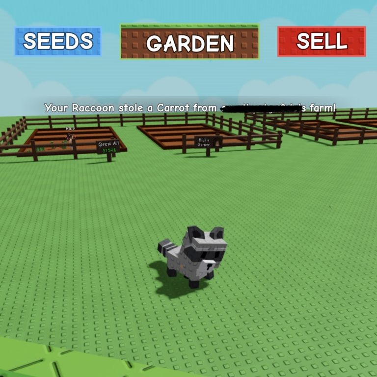 Why Is The Grow A Garden Raccoon Pet So Popular? - Durbin Rock