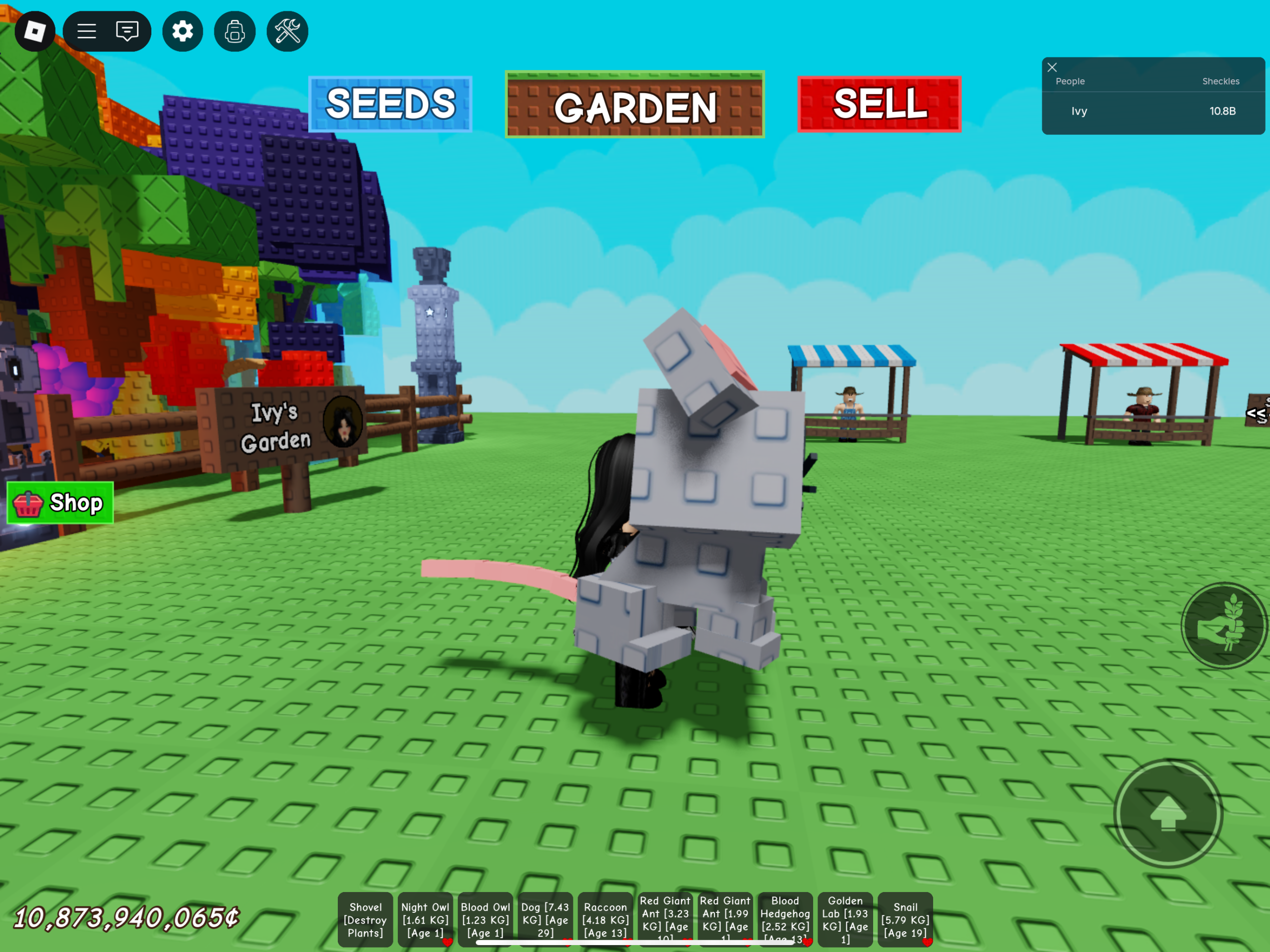 What Are The Benefits Of Owning The Grow A Garden Grey Mouse? - Durbin Rock