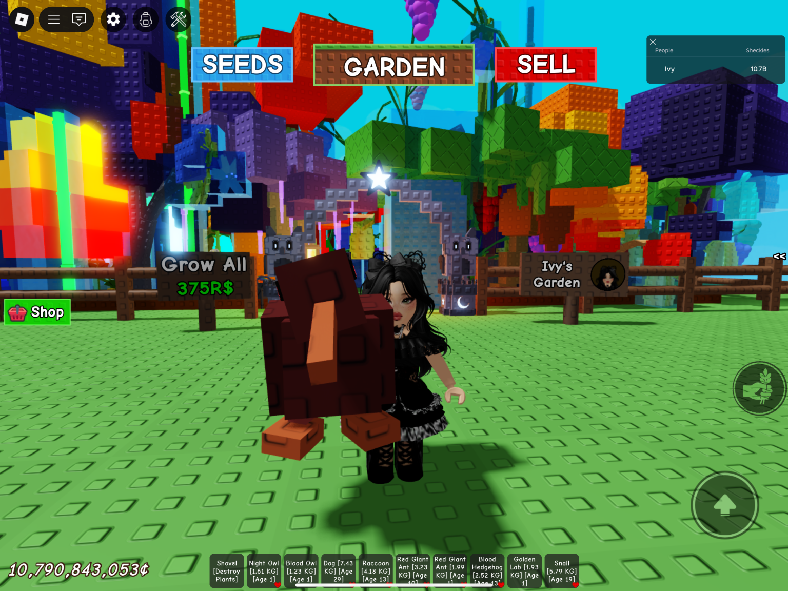 Everything You Need To Know About The Grow A Garden Blood Kiwi Pet ...