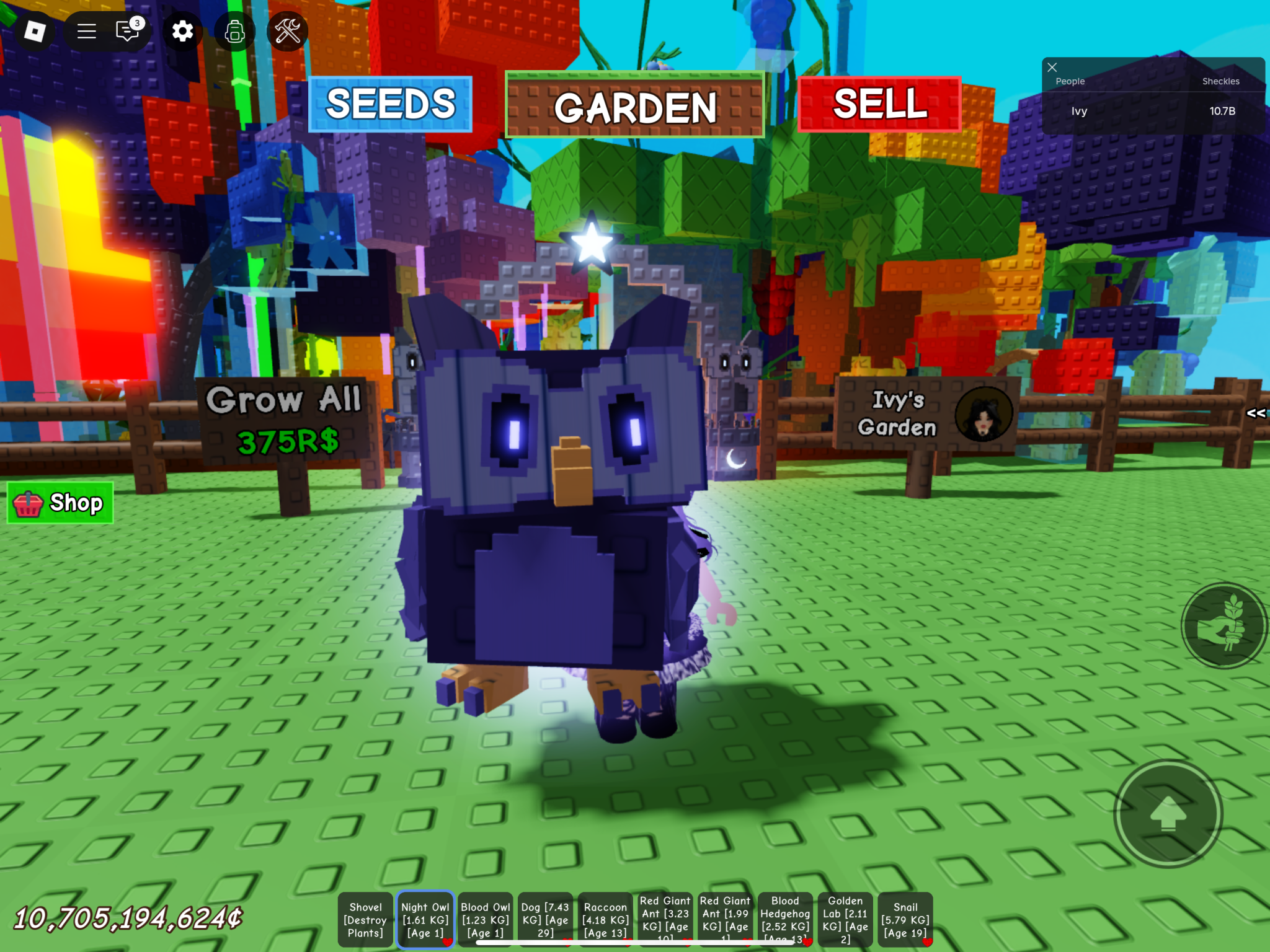 Everything You Need To Know About The Grow A Garden Night Owl Pet ...