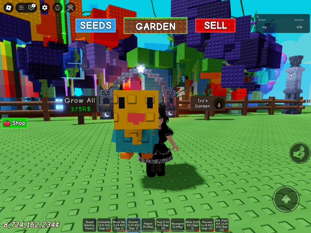 Benefits Of Owning The Grow A Garden Rooster Pet - Durbin Rock