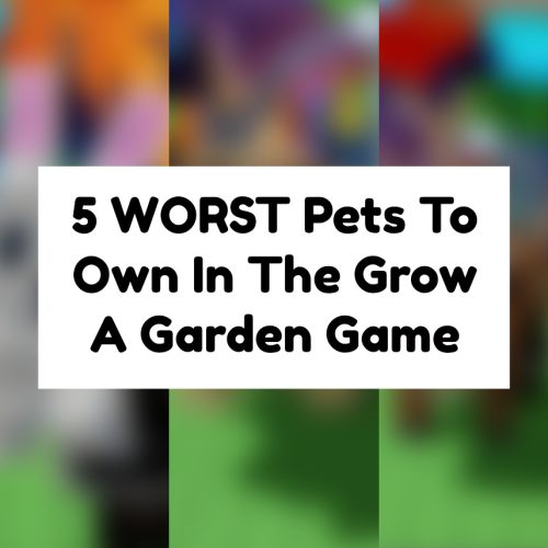 Everything You Need To Know About The Grow A Garden Pig Pet - Durbin Rock