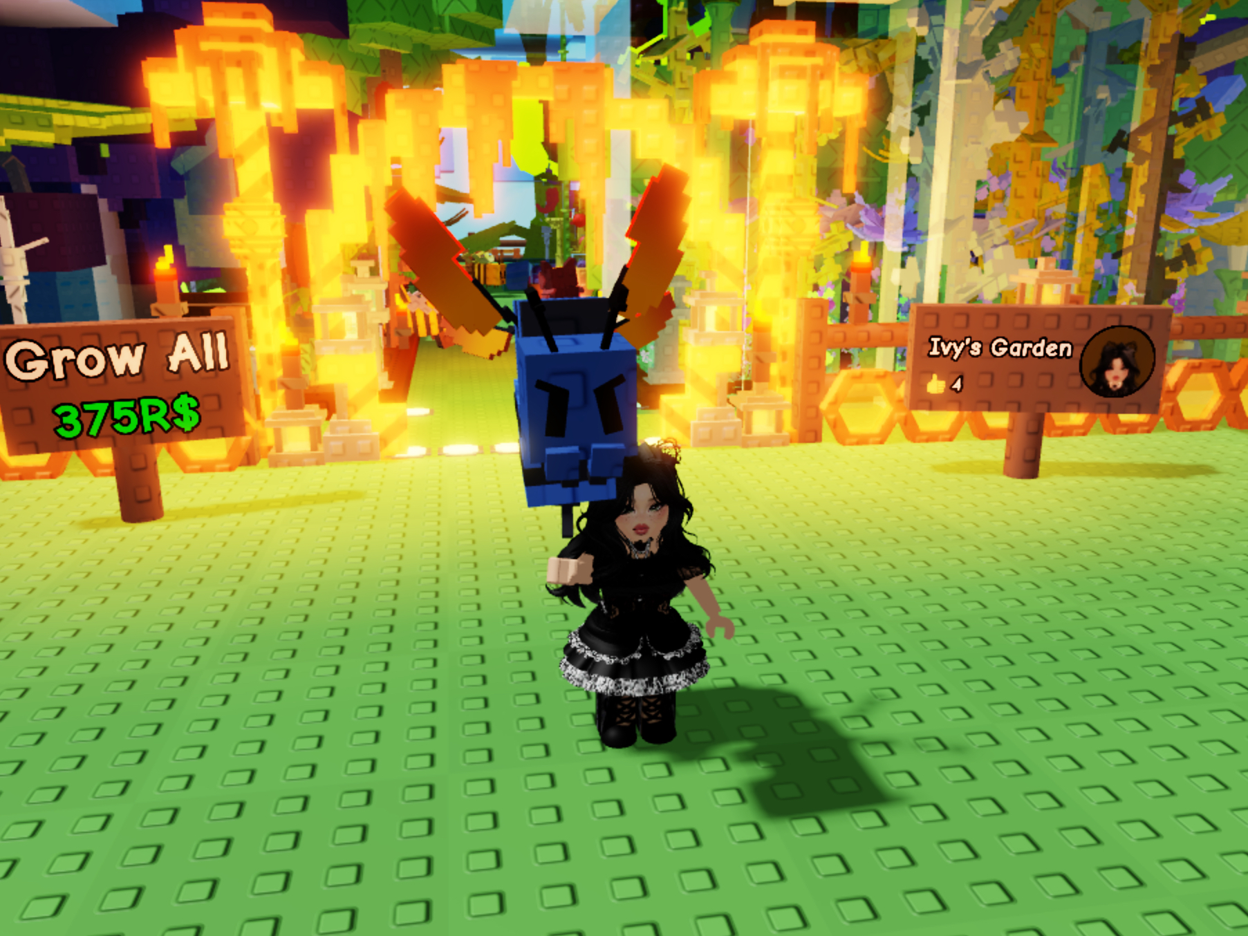 Benefits Of Owning The Grow A Garden Tarantula Hawk Pet - Durbin Rock