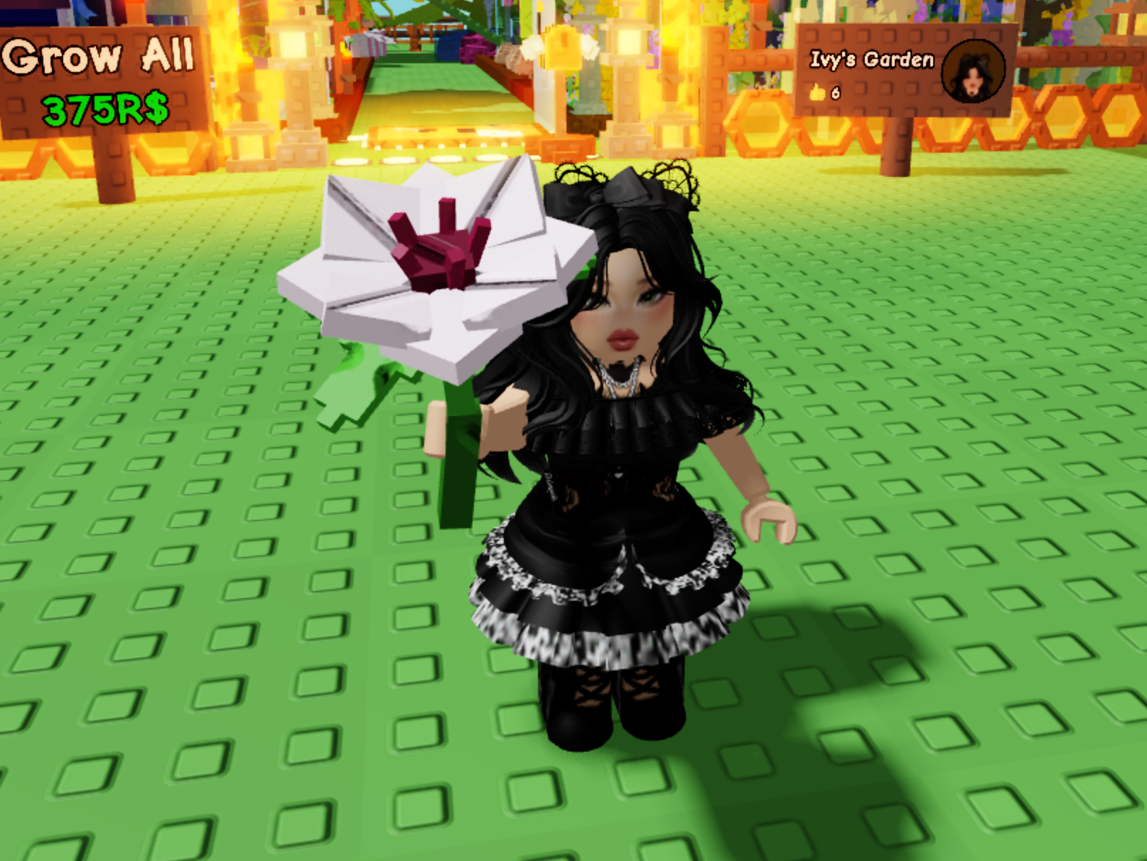 Grow A Garden Launches NEW MANUKA FLOWER Seed - Durbin Rock