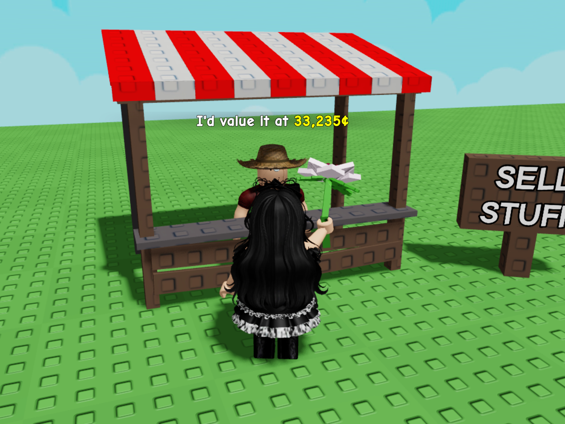 Grow A Garden Launches NEW MANUKA FLOWER Seed - Durbin Rock