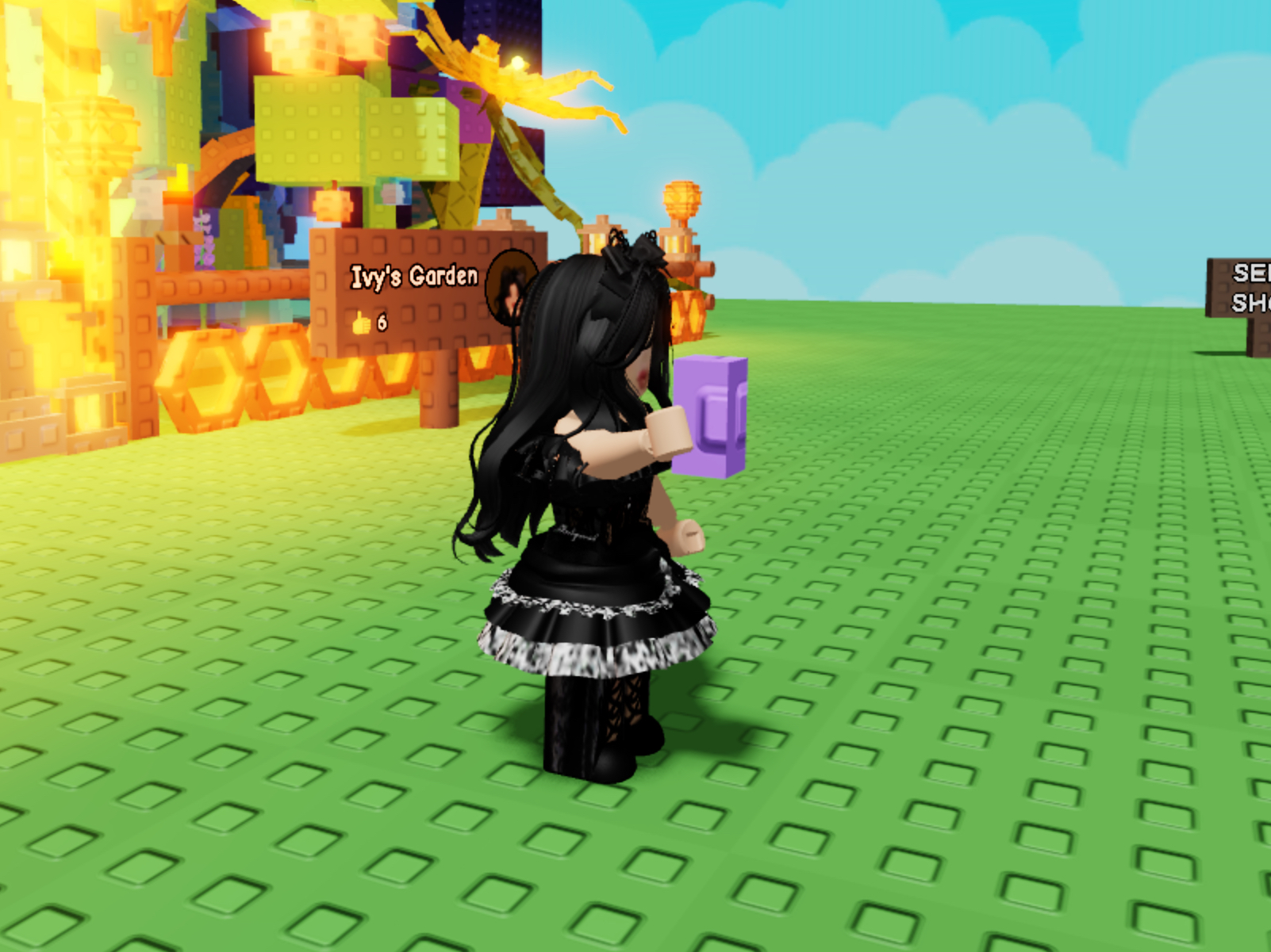 Grow A Garden Launches NEW LAVENDER Seed - Durbin Rock