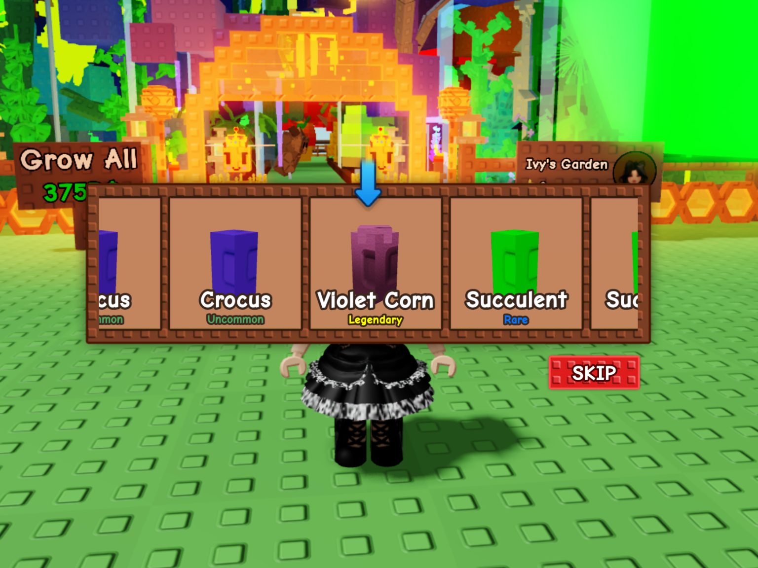 Grow A Garden Launches NEW VIOLETCORN Seed [See REAL Photos Here]