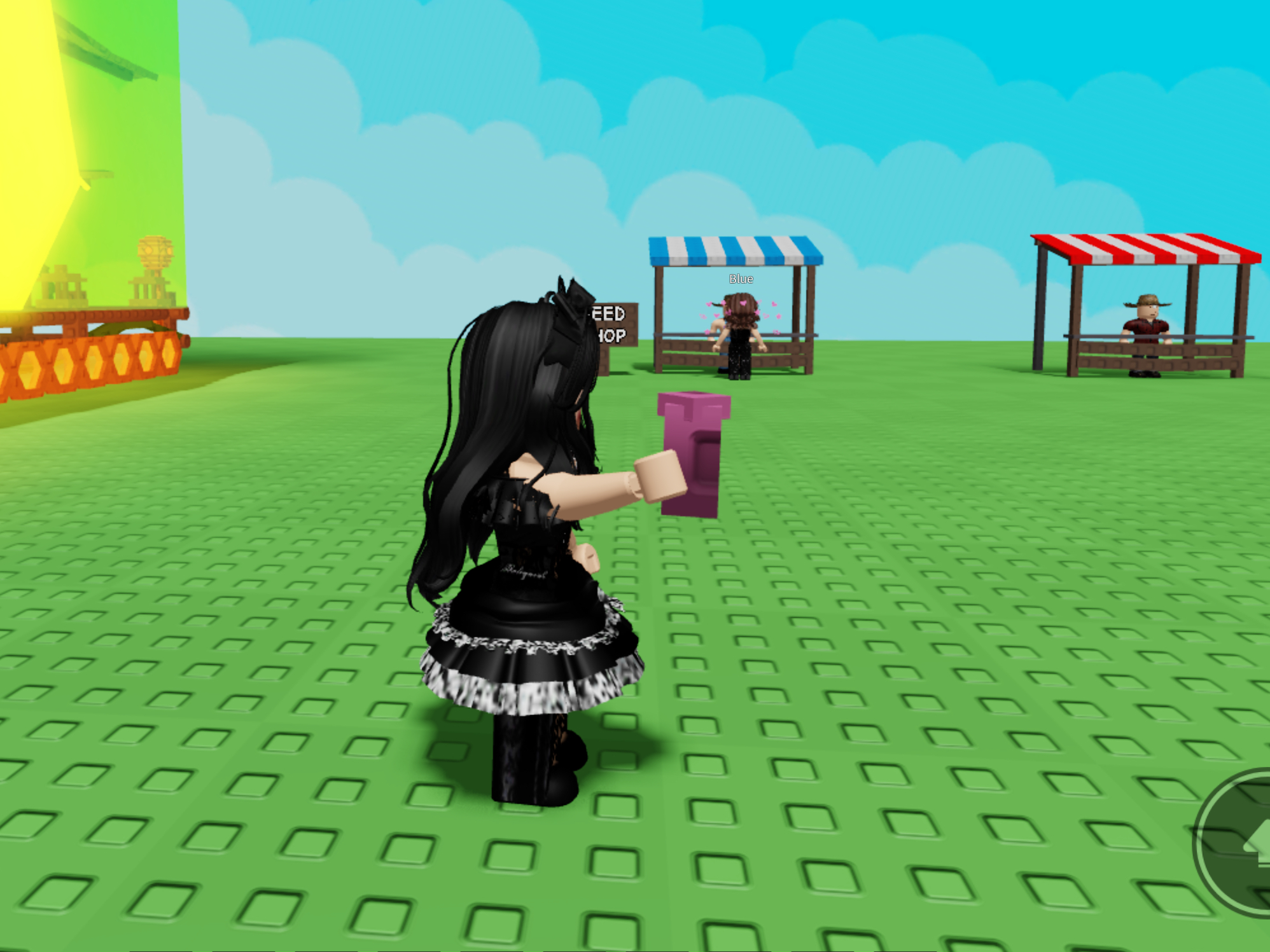 Grow A Garden Launches NEW VIOLETCORN Seed [See REAL Photos Here]