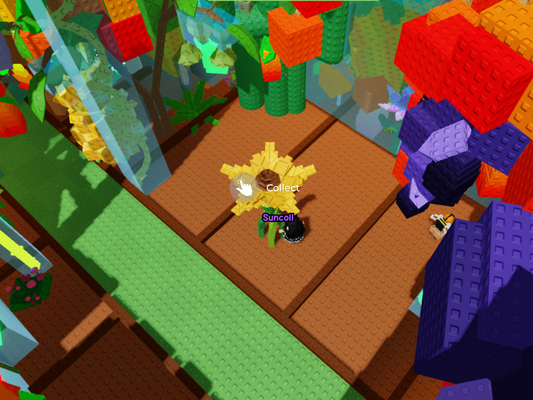 Grow A Garden Launches NEW SUNCOIL Seed - Durbin Rock