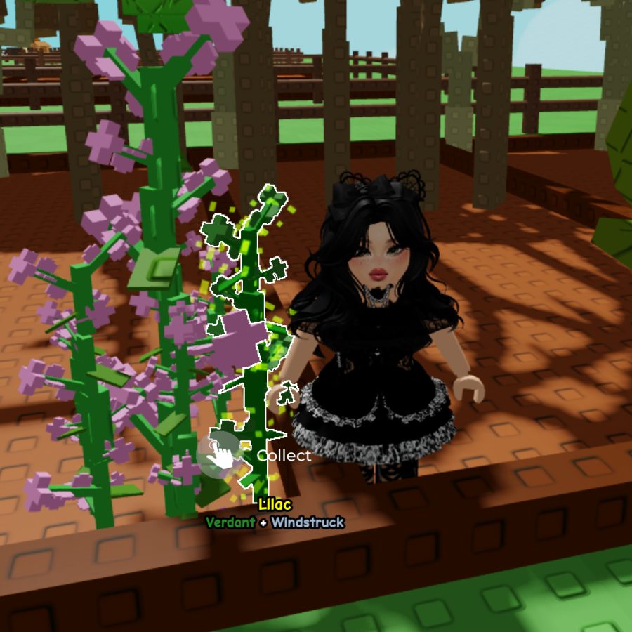 What Is The Gale Grow A Garden Weather Event? - Durbin Rock