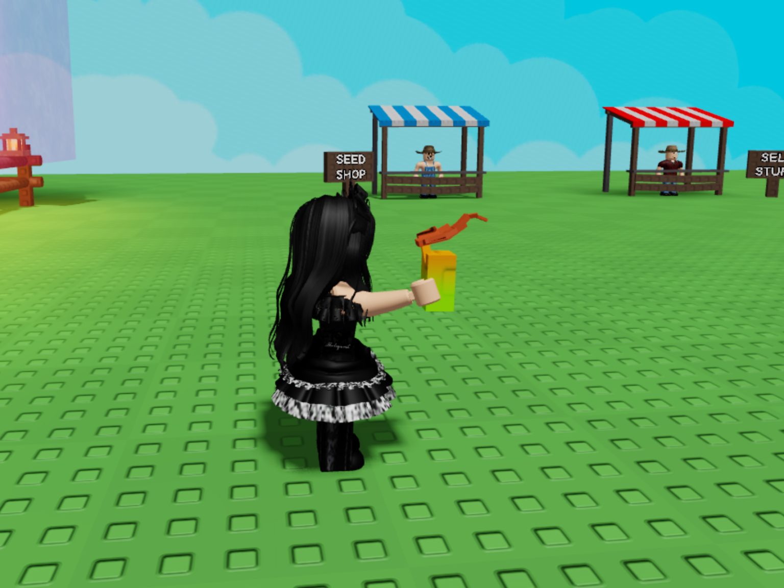 Complete Guide To The New Grow A Garden Pitcher Plant Seed - Durbin Rock