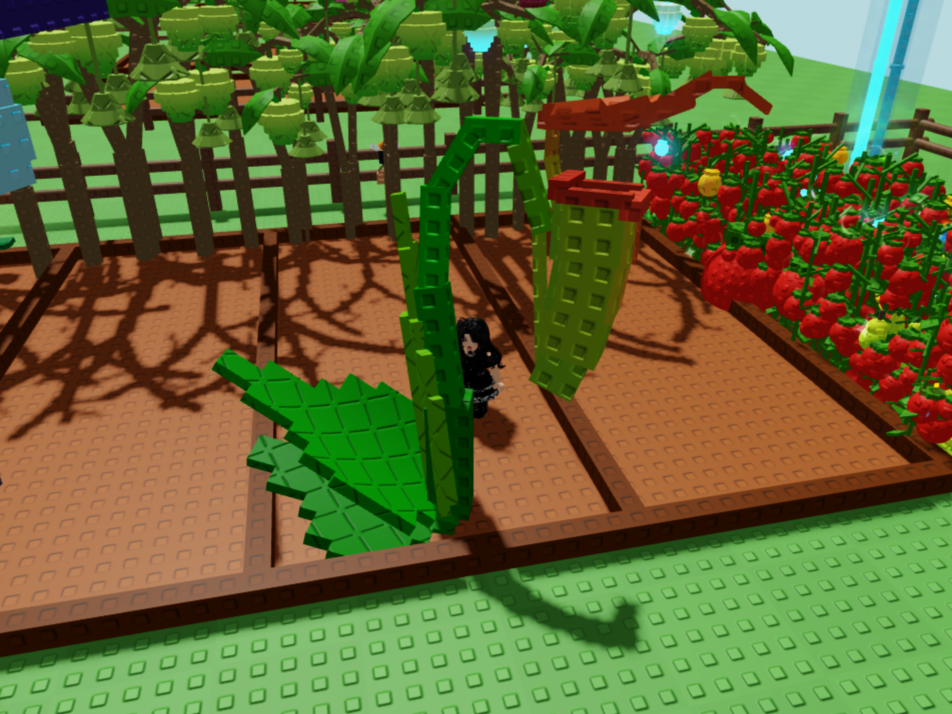 Complete Guide To The New Grow A Garden Pitcher Plant Seed - Durbin Rock