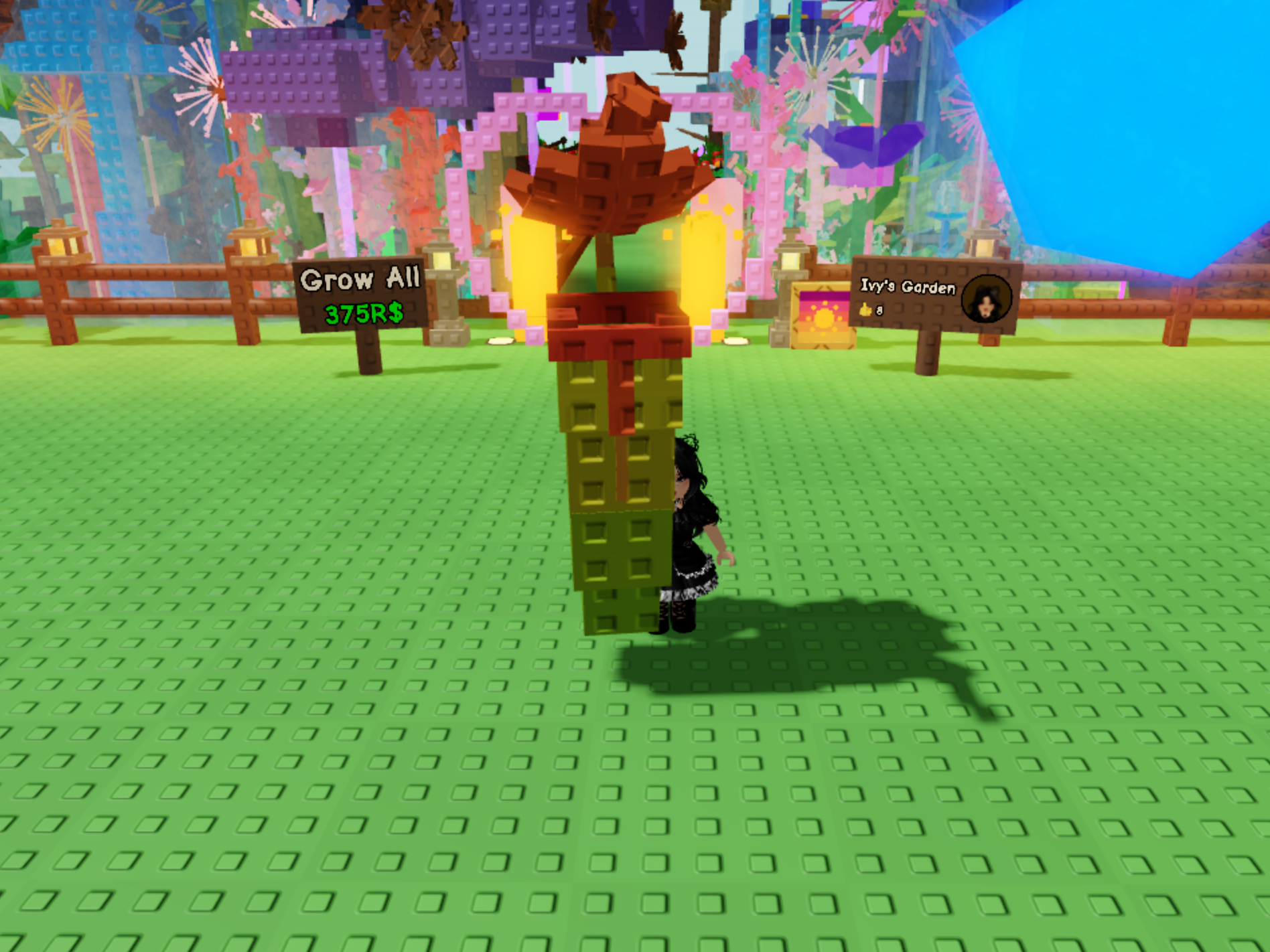 Complete Guide To The New Grow A Garden Pitcher Plant Seed - Durbin Rock