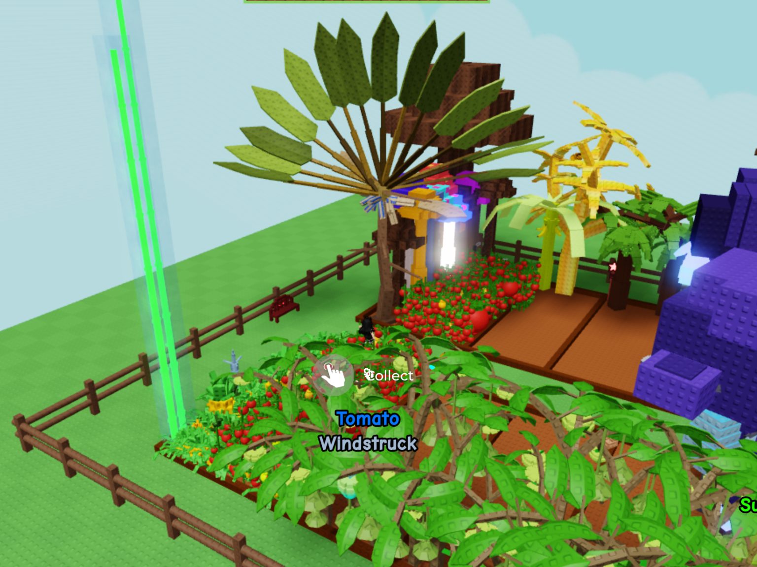 Complete Guide To The New Grow A Garden Traveler's Fruit Seed - Durbin Rock