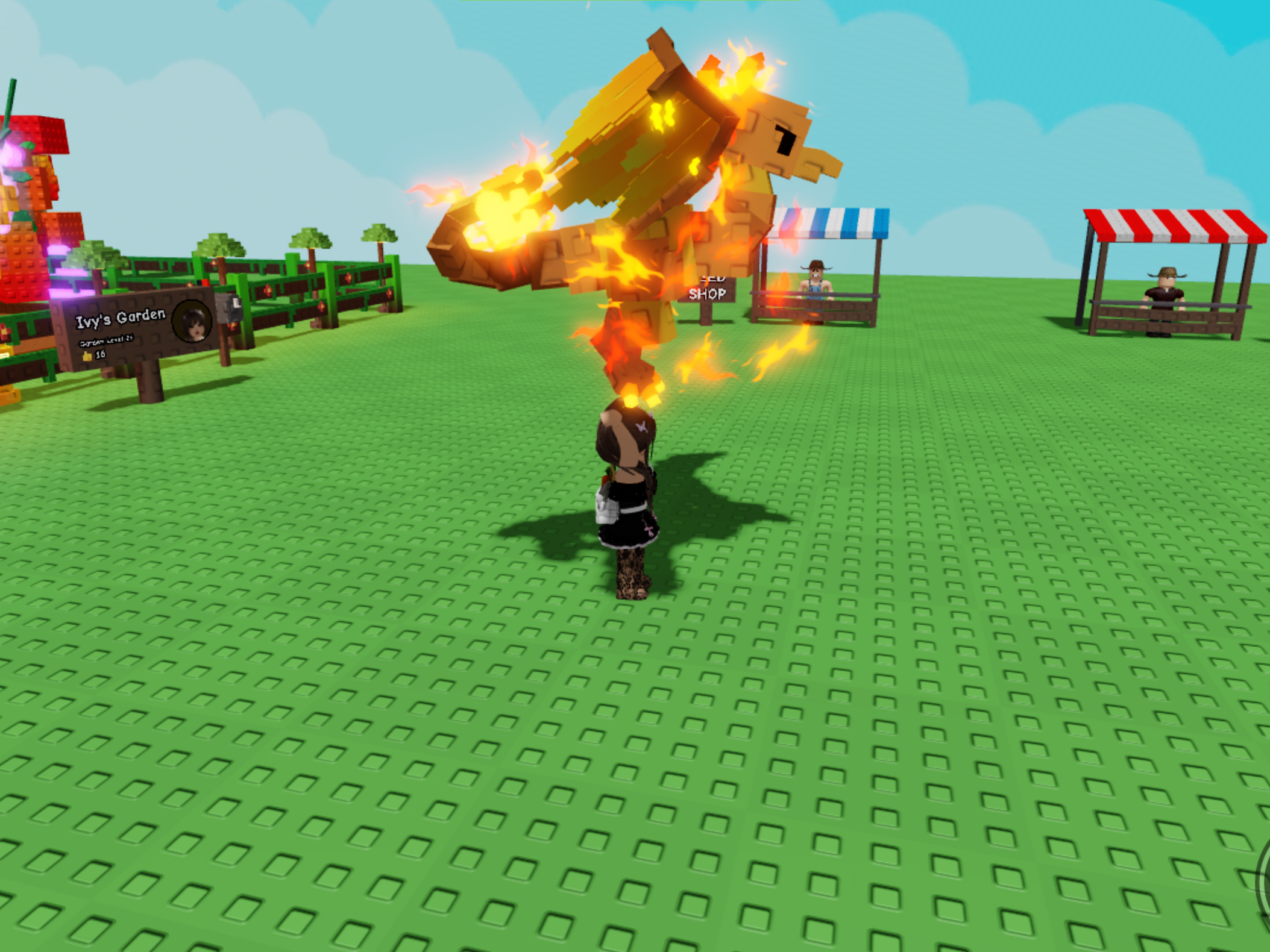 What Does The Grow A Garden Phoenix Pet Do? - Durbin Rock