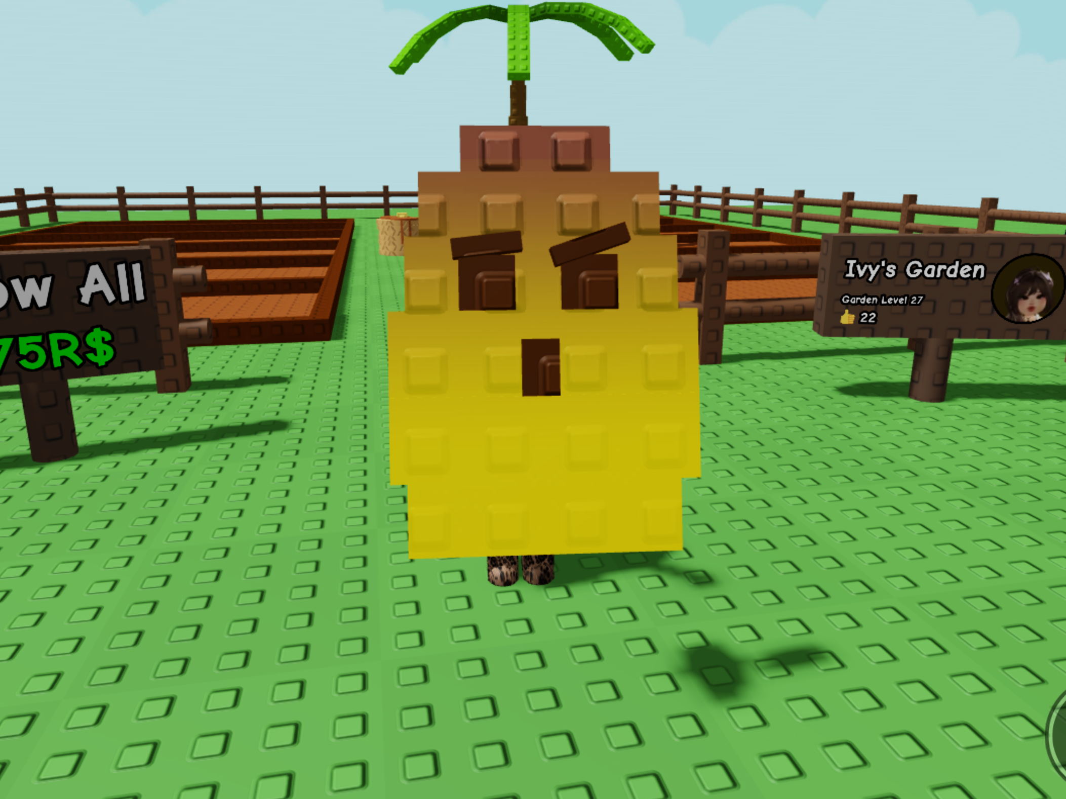 Complete Guide To The Grow A Garden Cocomango Seed - Is It Worth It ...