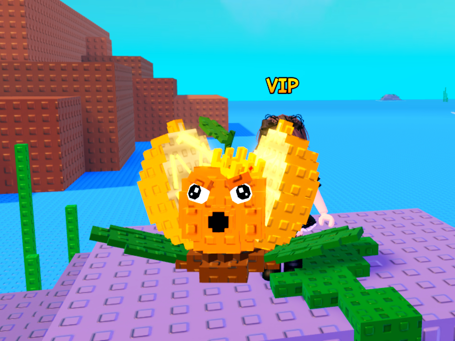 Everything You Need To Know About The Plants Vs Brainrots King Limone Seed - Durbin Rock