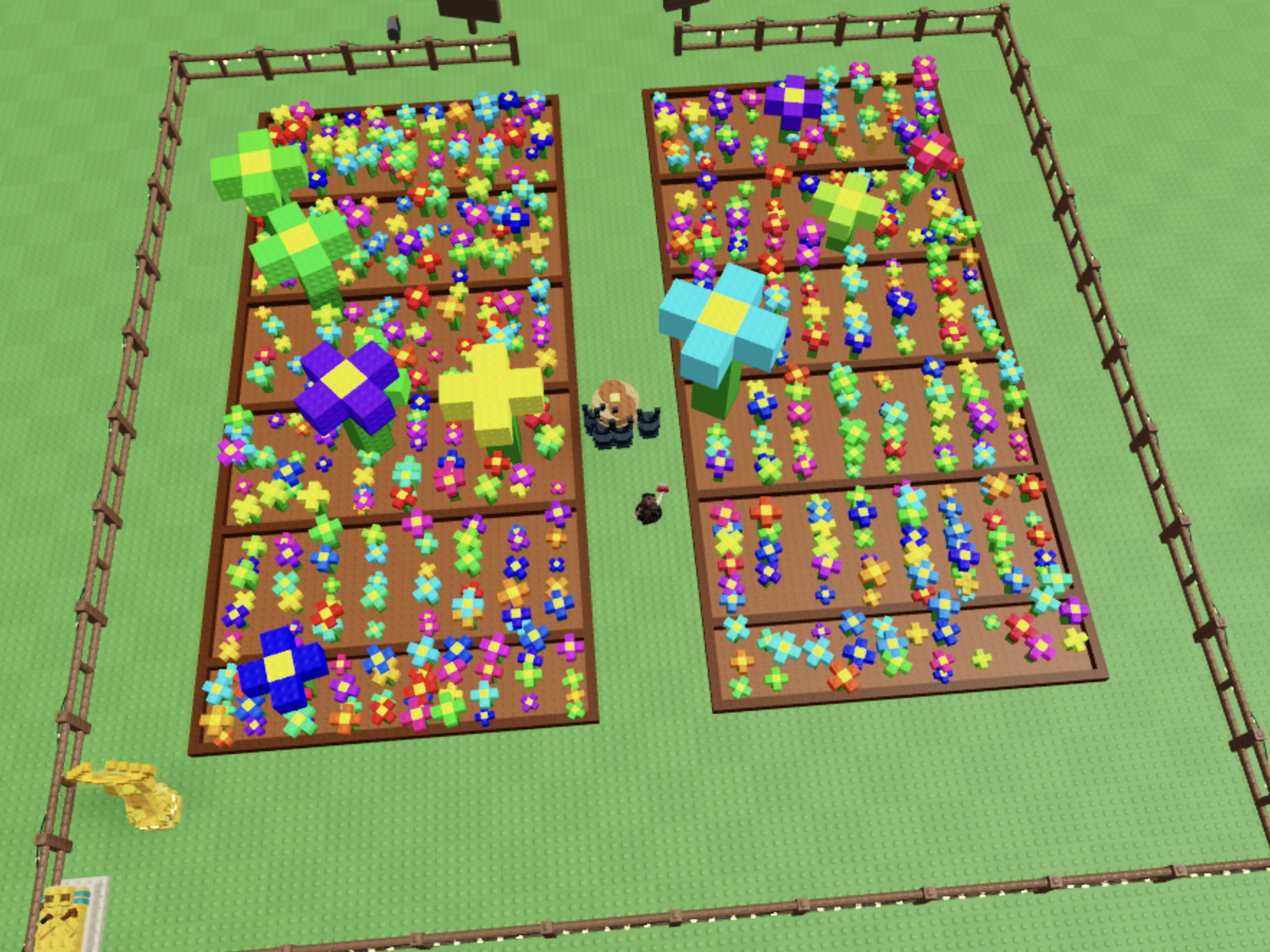 How To Do The Black Buttercup Event In Grow A Garden - Durbin Rock