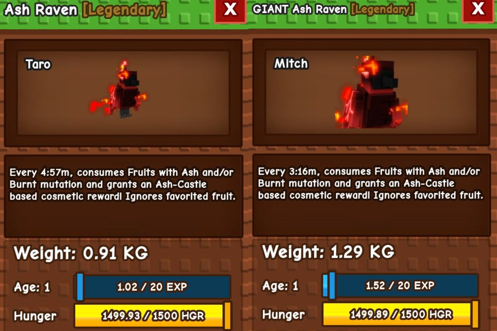 Grow A Garden Ash Raven Vs GIANT Ash Raven Guide [Which Cosmetics Do ...